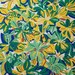 Large Schefflera Umbrella Tree Drawing Colorful Abstract House Plant ...