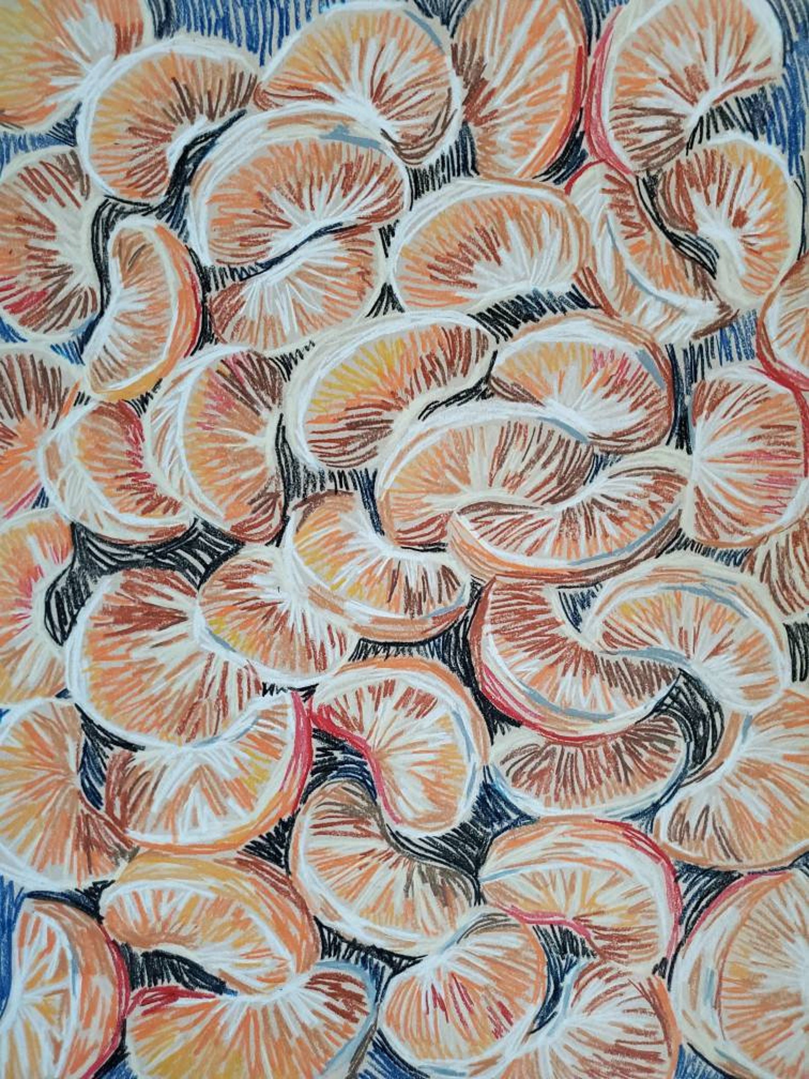 Orange Slices Abstract Colored Pencil Drawing on Toned Paper Fruit ...