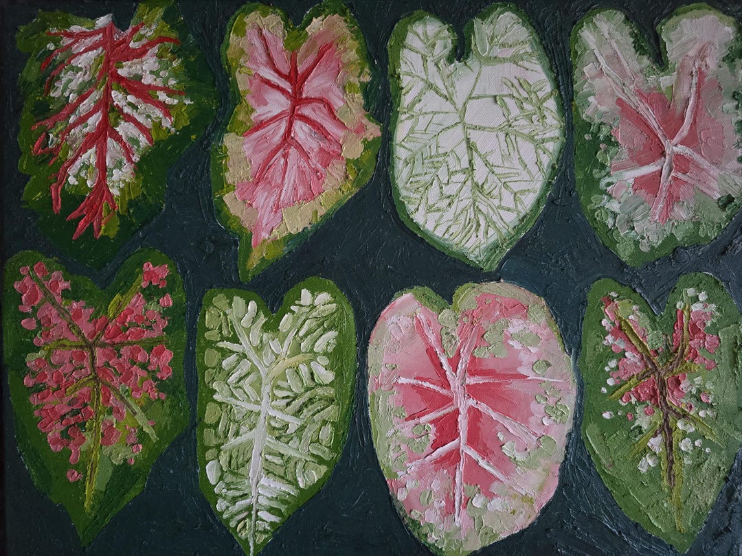 Caladiums House Plant Leaves Palette Knife Oil Painting on Stretched ...