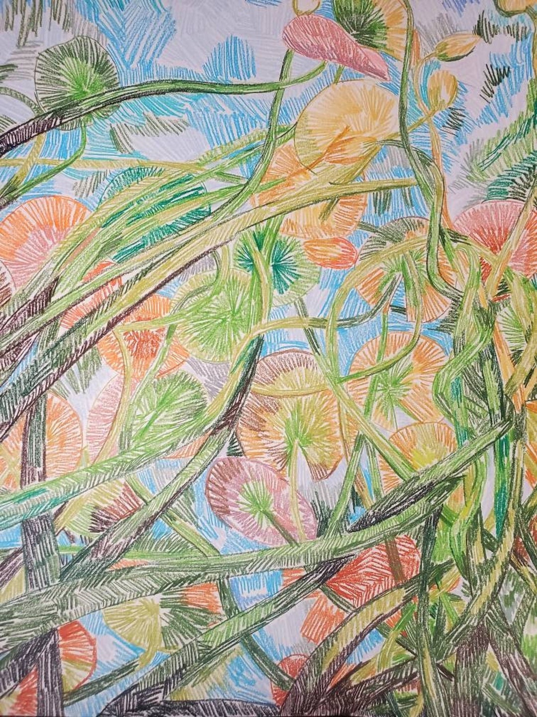 Underwater Pond Lily Pad Colored Pencil Drawing Original Abstract Plant ...