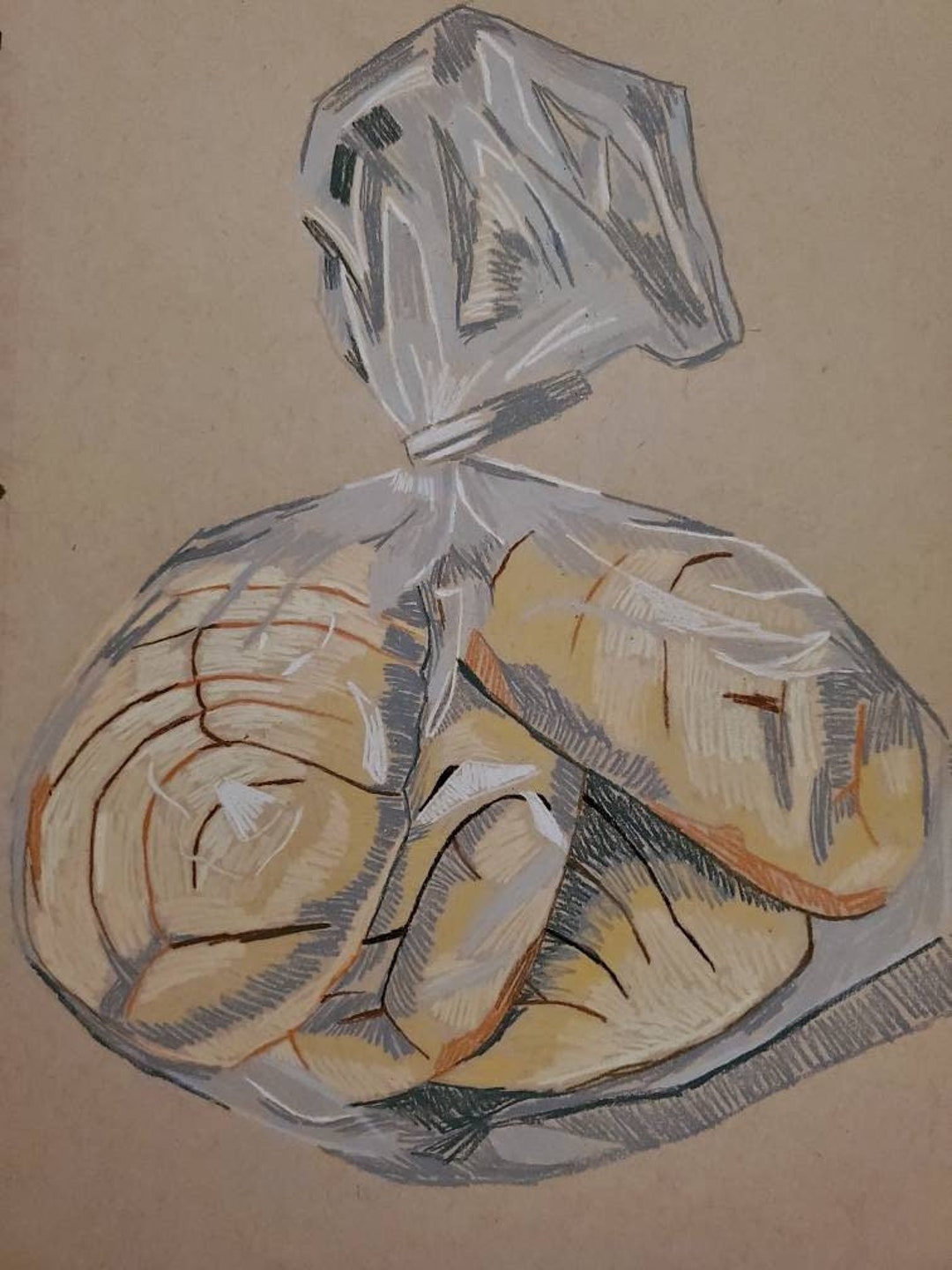 Colored Pencil Conchas Pan Dulce Pencil Drawing Original Mexican Pastry ...