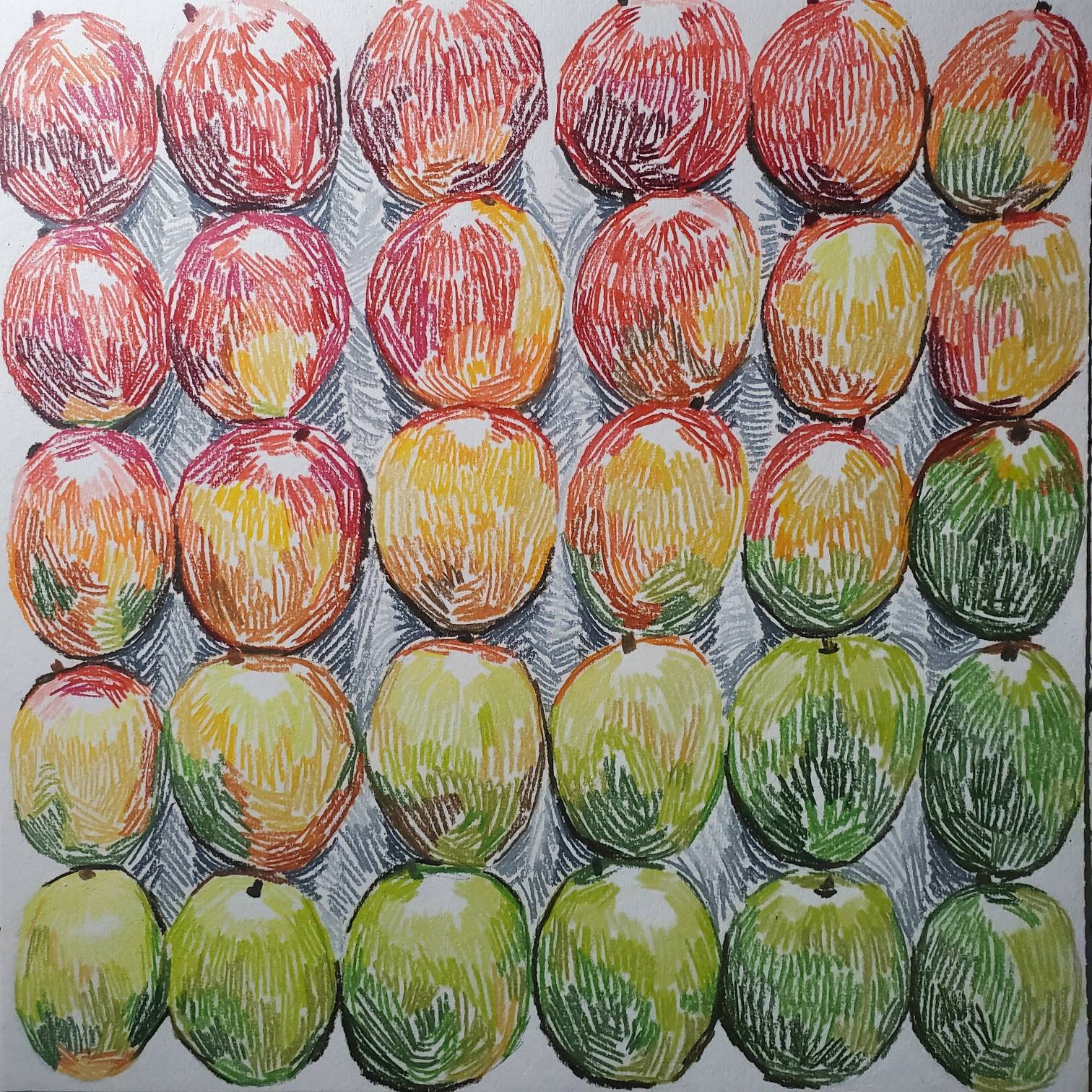 Mango Chart Colored Pencil Drawing Original Fruit Gradient - Etsy