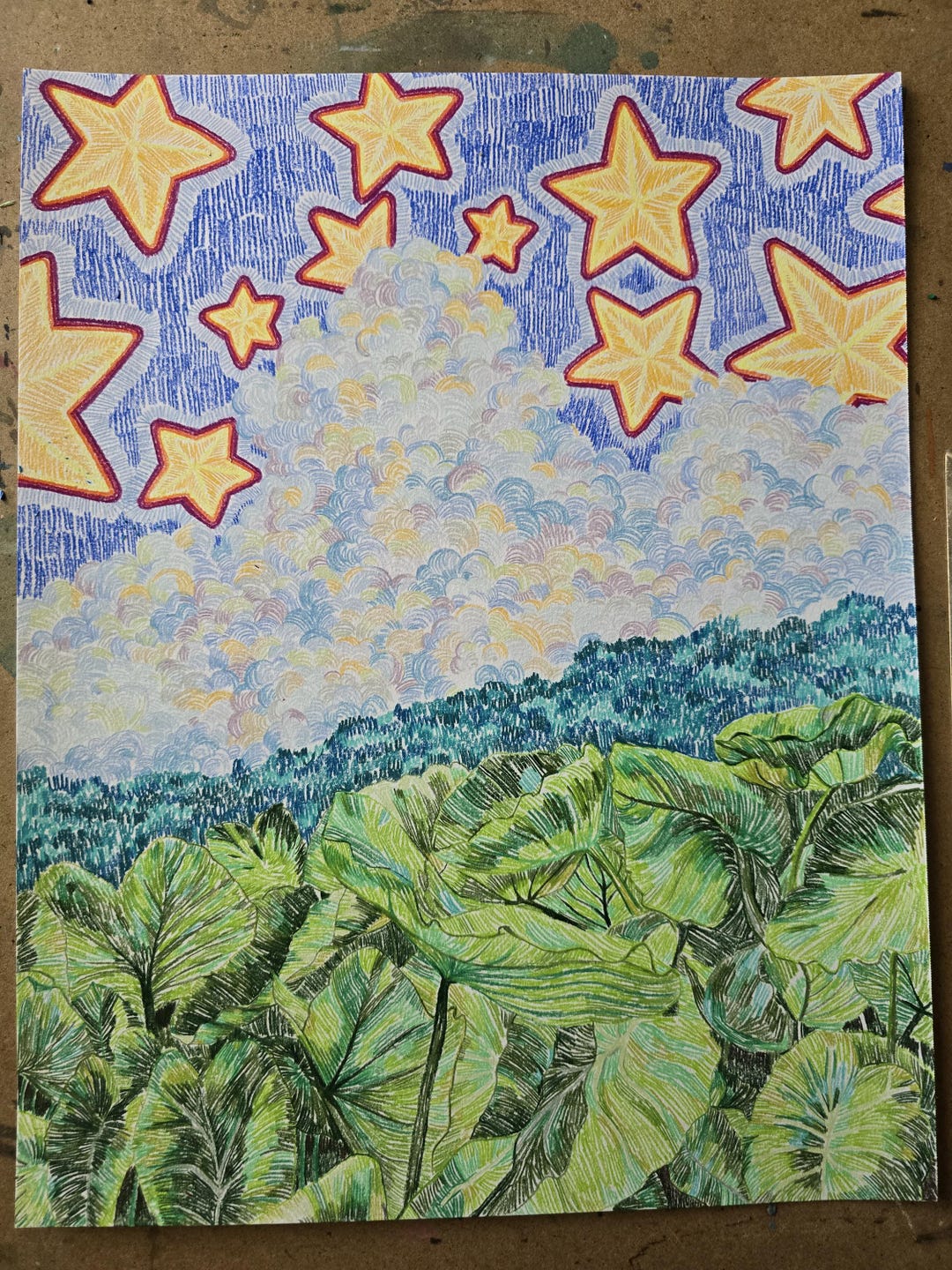 Taro Plants Farm Under the Stars and Clouds Colored Pencil Landscape ...