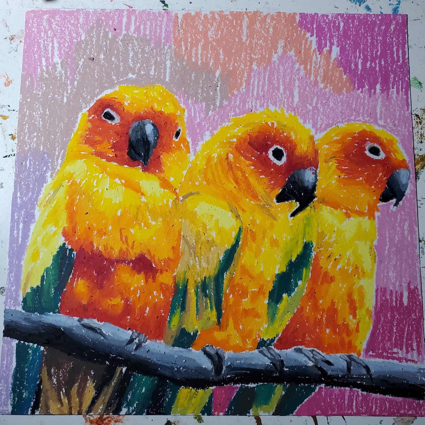 Parrots Oil Pastel Drawing on Paper Colorful Bird Animal Lover - Etsy