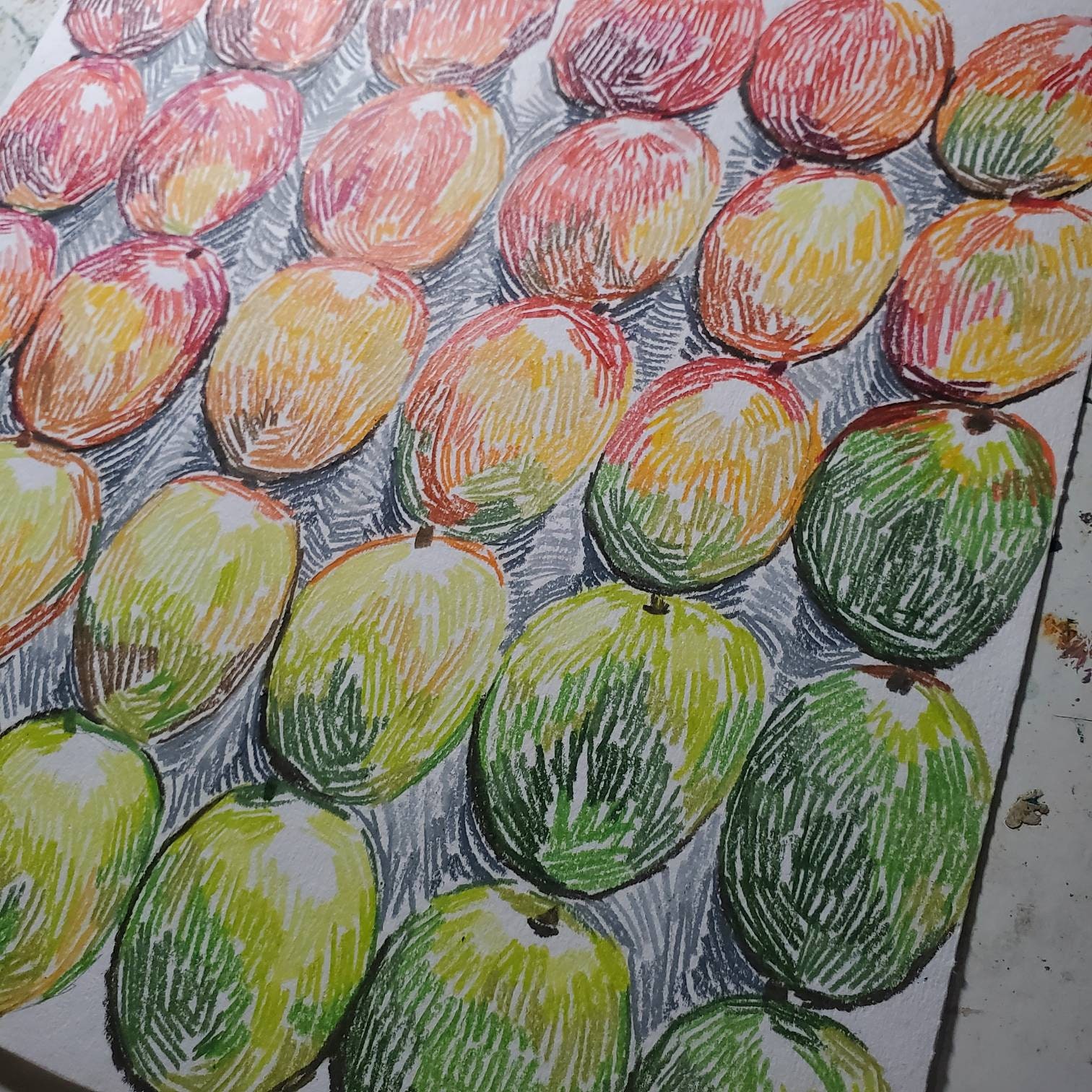 Mango Chart Colored Pencil Drawing Original Fruit Gradient - Etsy Australia