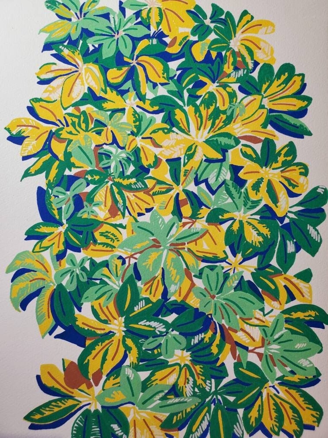 Large Schefflera Umbrella Tree Drawing Colorful Abstract House Plant ...