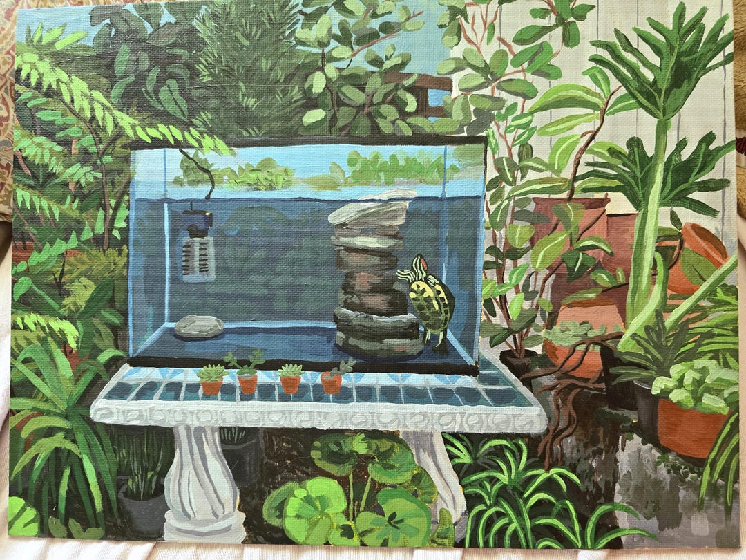 Plant Nursery Garden With Turtle in Fish Tank Original Outdoor Acrylic ...