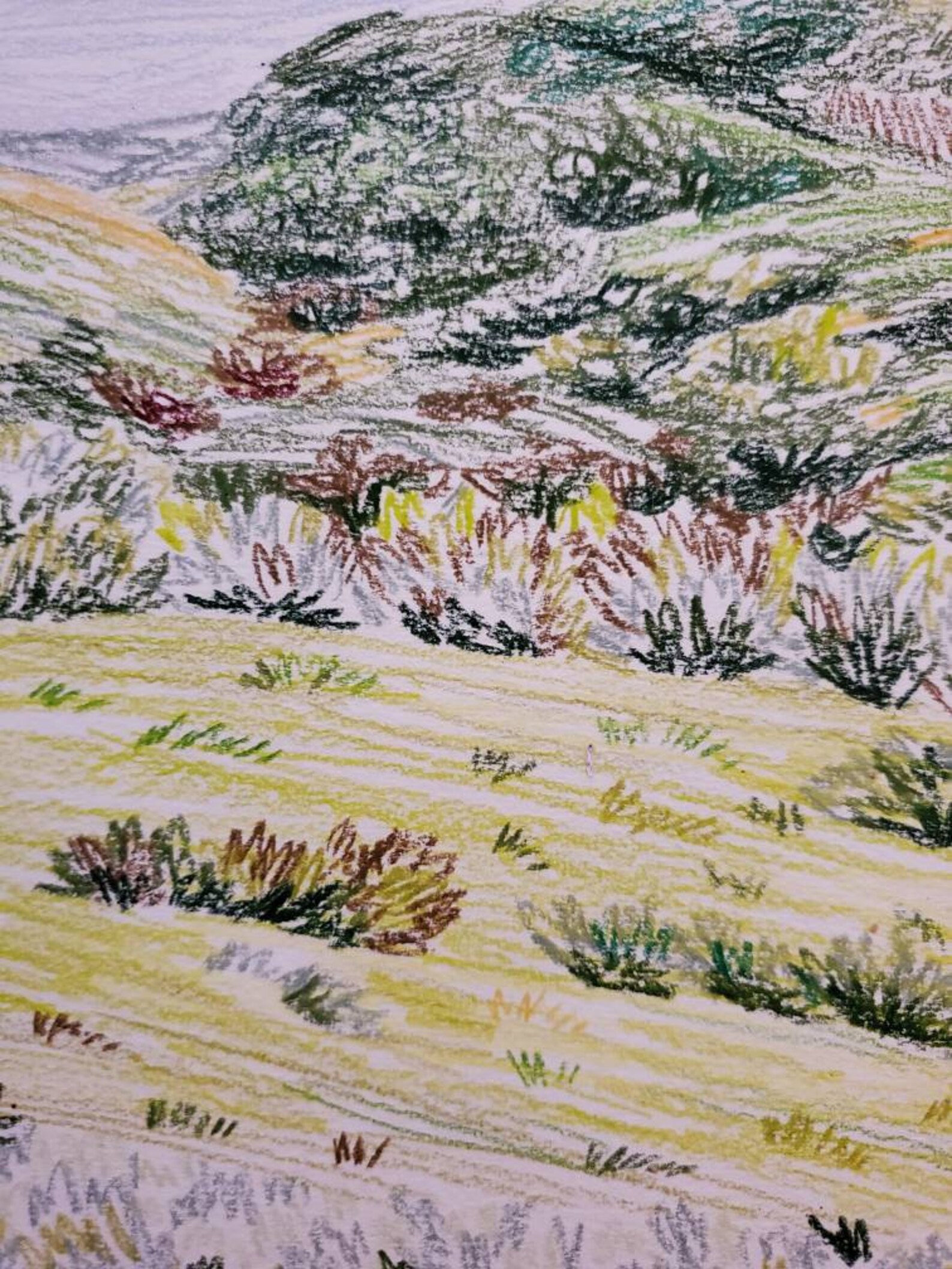 Meadow Landscape Art Colored Pencil Illustration Small Wall Art Scenic ...