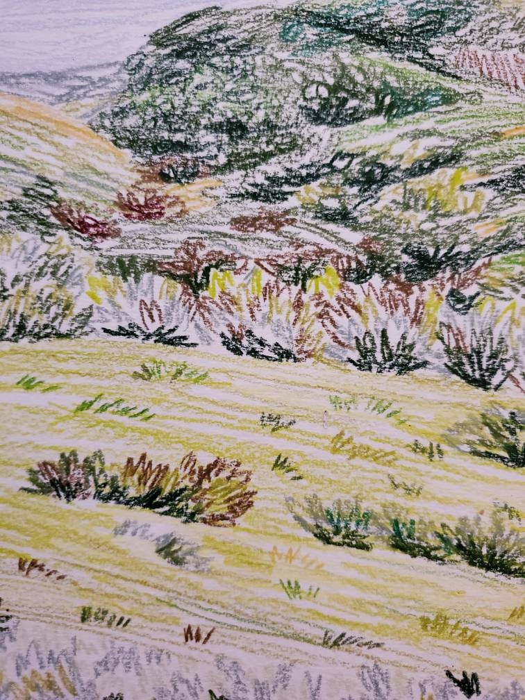 Meadow Landscape Art Colored Pencil Illustration Small Wall - Etsy