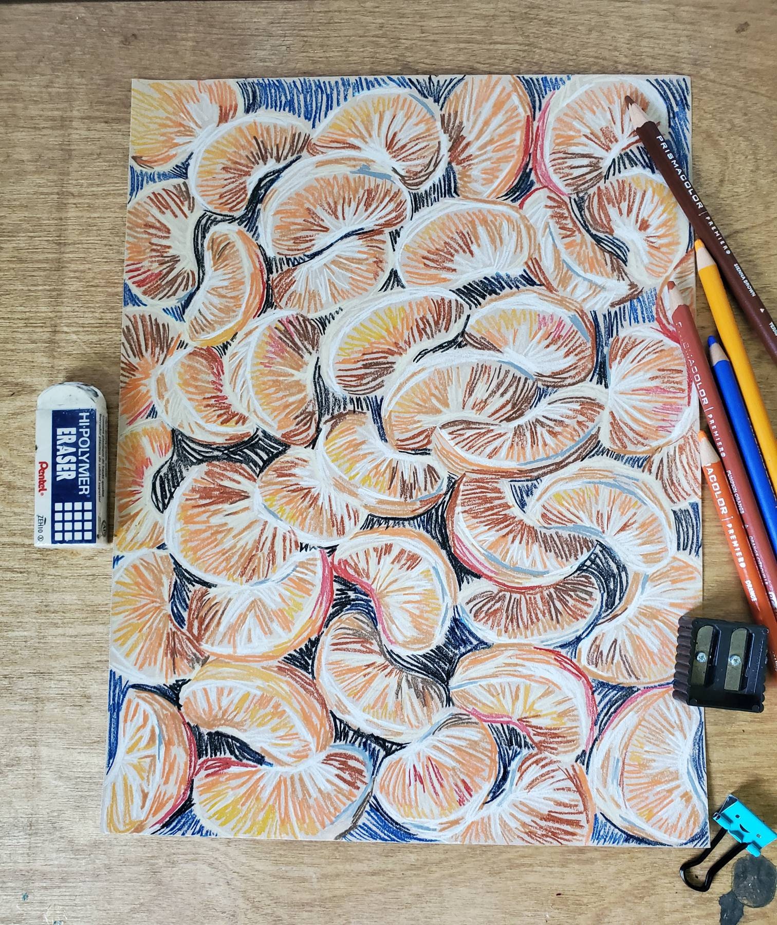 Orange Fruit Pencil Drawing