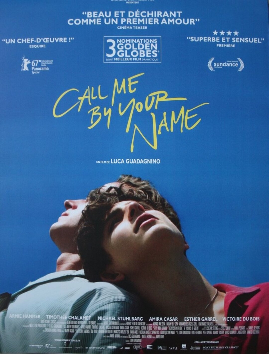 Call Me by Your Name Rolled Movie Poster 53x40 Luca Guadagnino ...