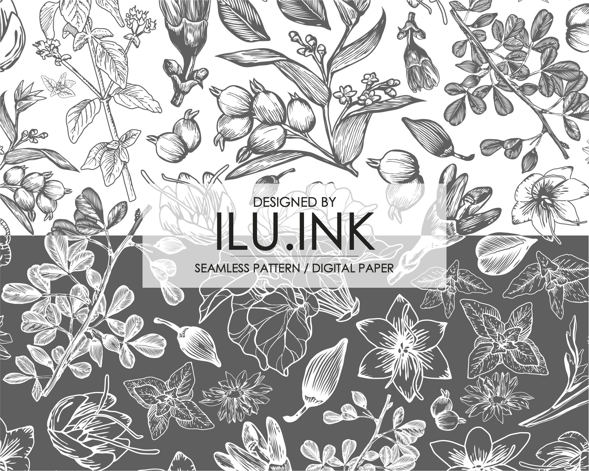 Floral Herb Seamless, Line Art Paper, Botanical Art, Fabric & Paper ...