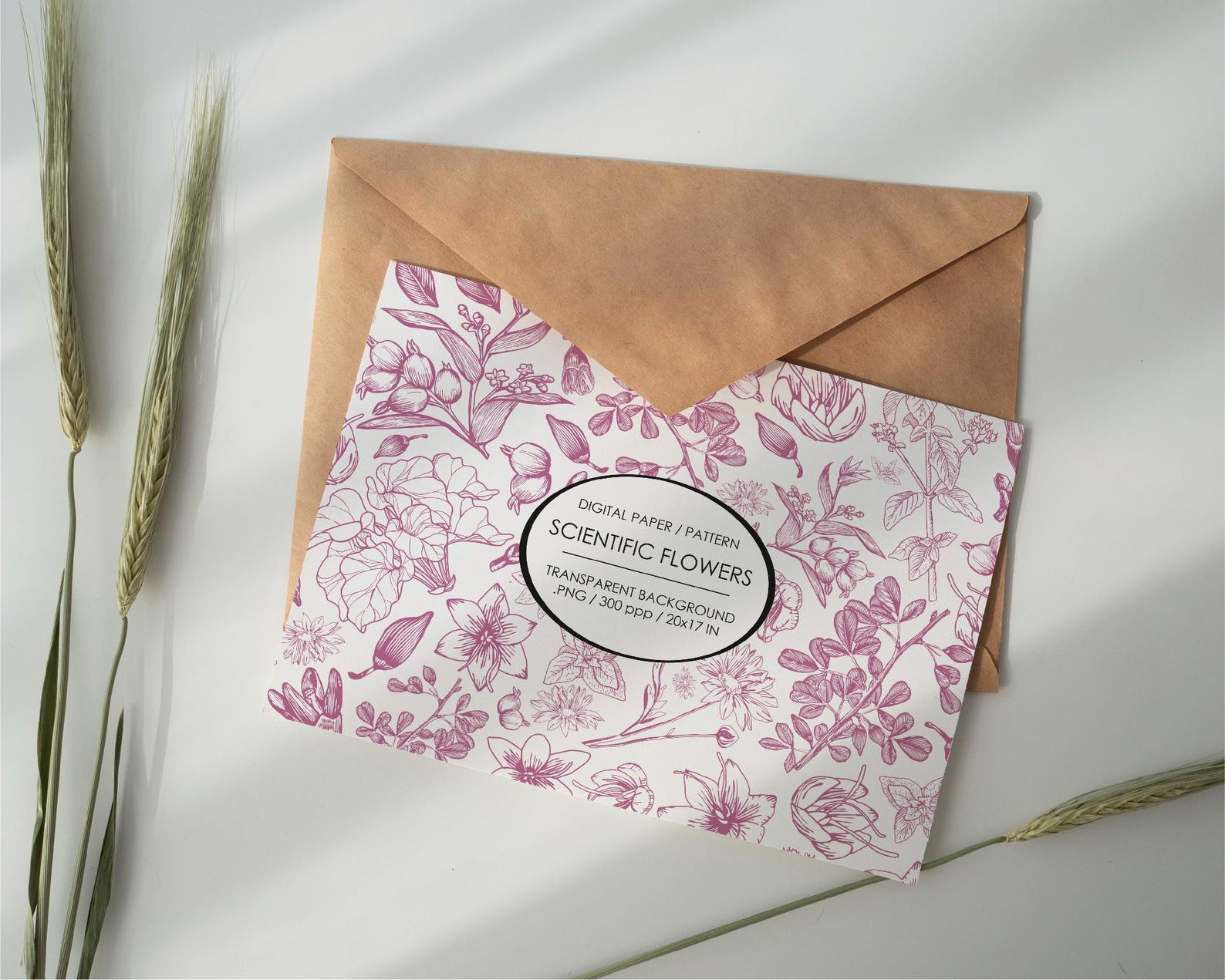 Herb Scientific Illustration, Boho Floral Pink Pattern, Line Art ...