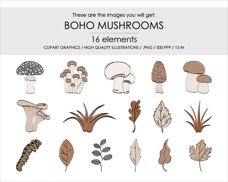 Boho Mushroom Clipart Collection, Mushrooms Illustration, Digital Art ...
