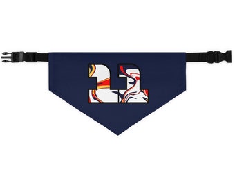 Formula 1 Pet Bandana - Etsy