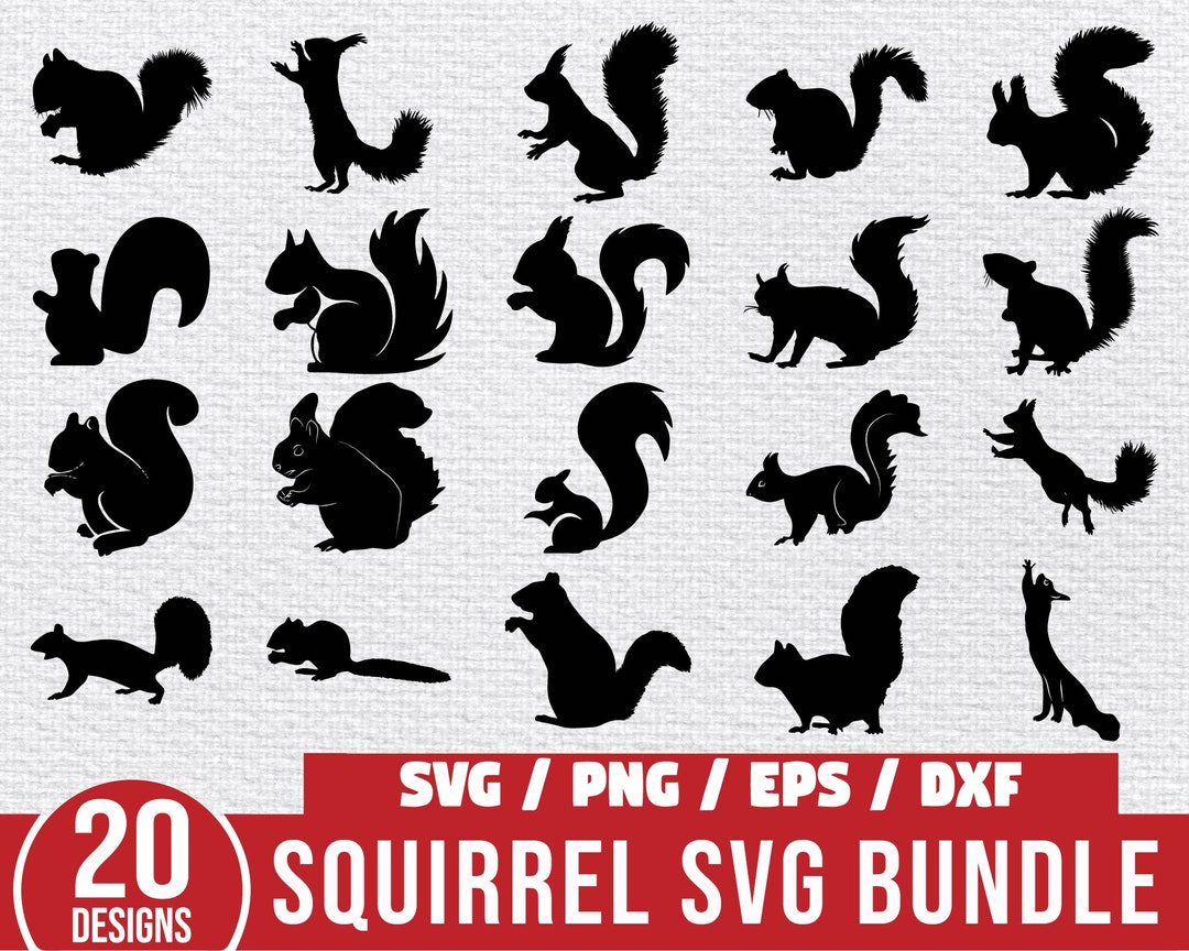 Squirrel SVG Bundle, Squirrel SVG, Squirrel Clipart, Squirrel PNG ...