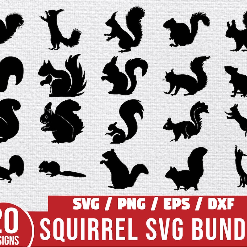 Squirrel Svg - Etsy