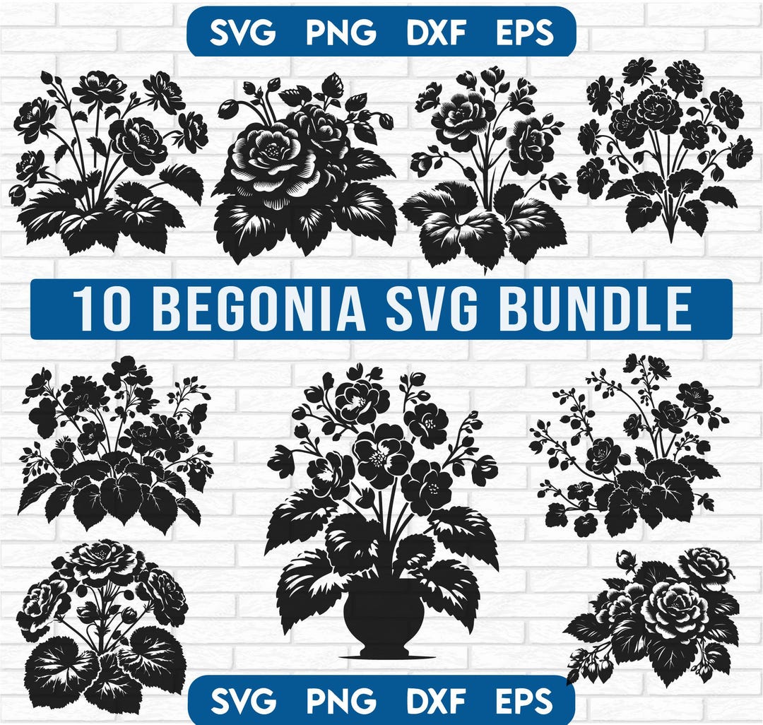Begonia SVG Bundle, Begonia Dxf, Begonia Png, Begonia Vector, Begonia ...