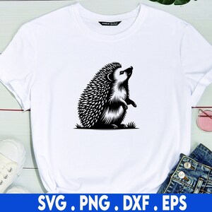 Hedgehog Svg Bundle, Hedgehog Svg, Hedgehog Png, Hedgehog Svg Png ...