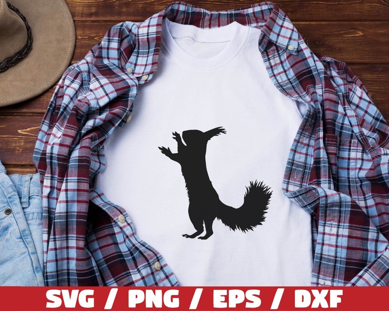 Squirrel SVG Bundle, Squirrel SVG, Squirrel Clipart, Squirrel PNG ...