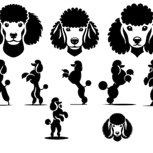 Poodle SVG Bundle, Poodle Face Svg, Poodle Silhouette, Poodle Dog Svg ...