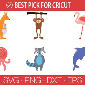 Safari Animals SVG Bundle, Jungle Svg, Animals Svg, Lion Svg, Elephant ...