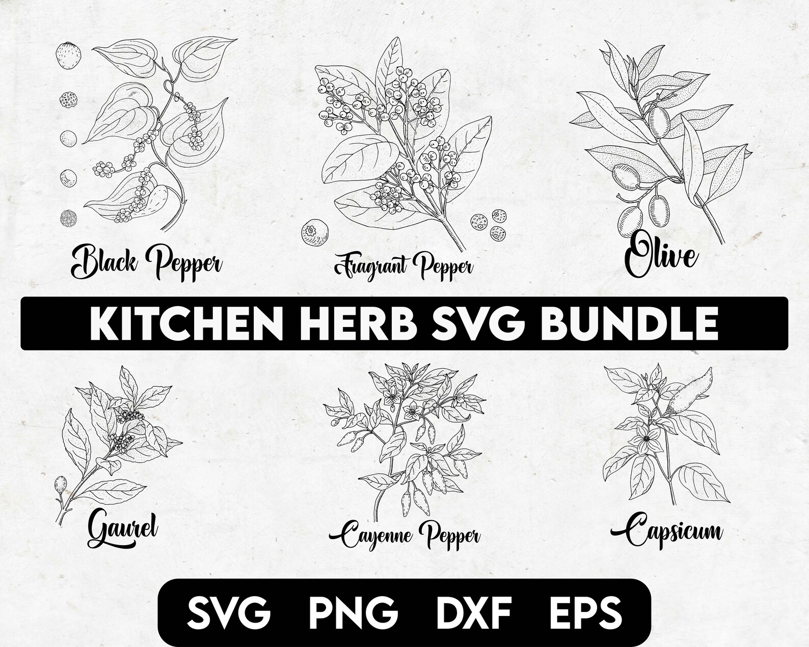Kitchen Herb Svg Bundle, Kitchen Svg, Herb Svg, Farmhouse Svg, Lavender ...