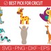 Safari Animals SVG Bundle, Jungle Svg, Animals Svg, Lion Svg, Elephant ...