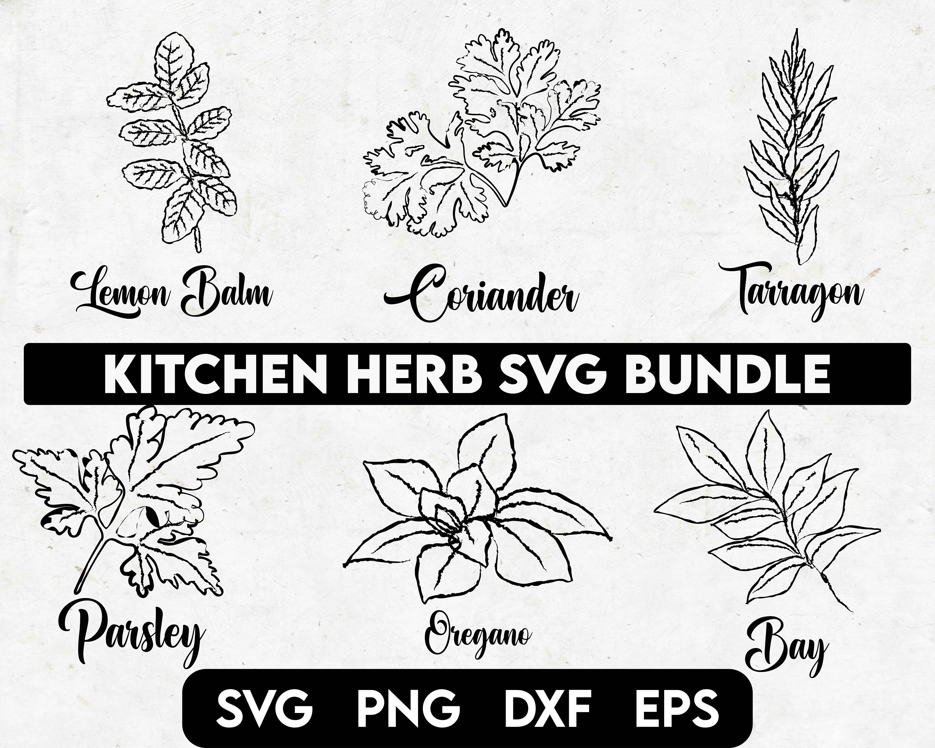 Kitchen Herb Svg Bundle, Kitchen Svg, Herb Svg, Farmhouse Svg, Lavender ...