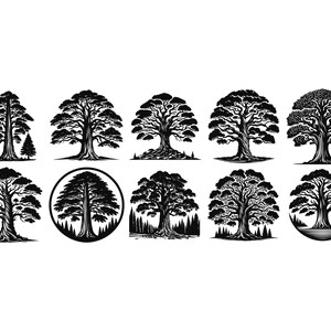 Tree Svg Bundle, Family Tree Svg Bundle, Tree Roots Svg, Our Roots SVG ...