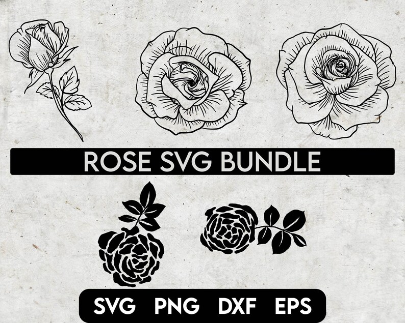 Rose Svg Bundle, ROSES Svg, Rose Clipart Bundle, Rose Svg Cut Files for ...