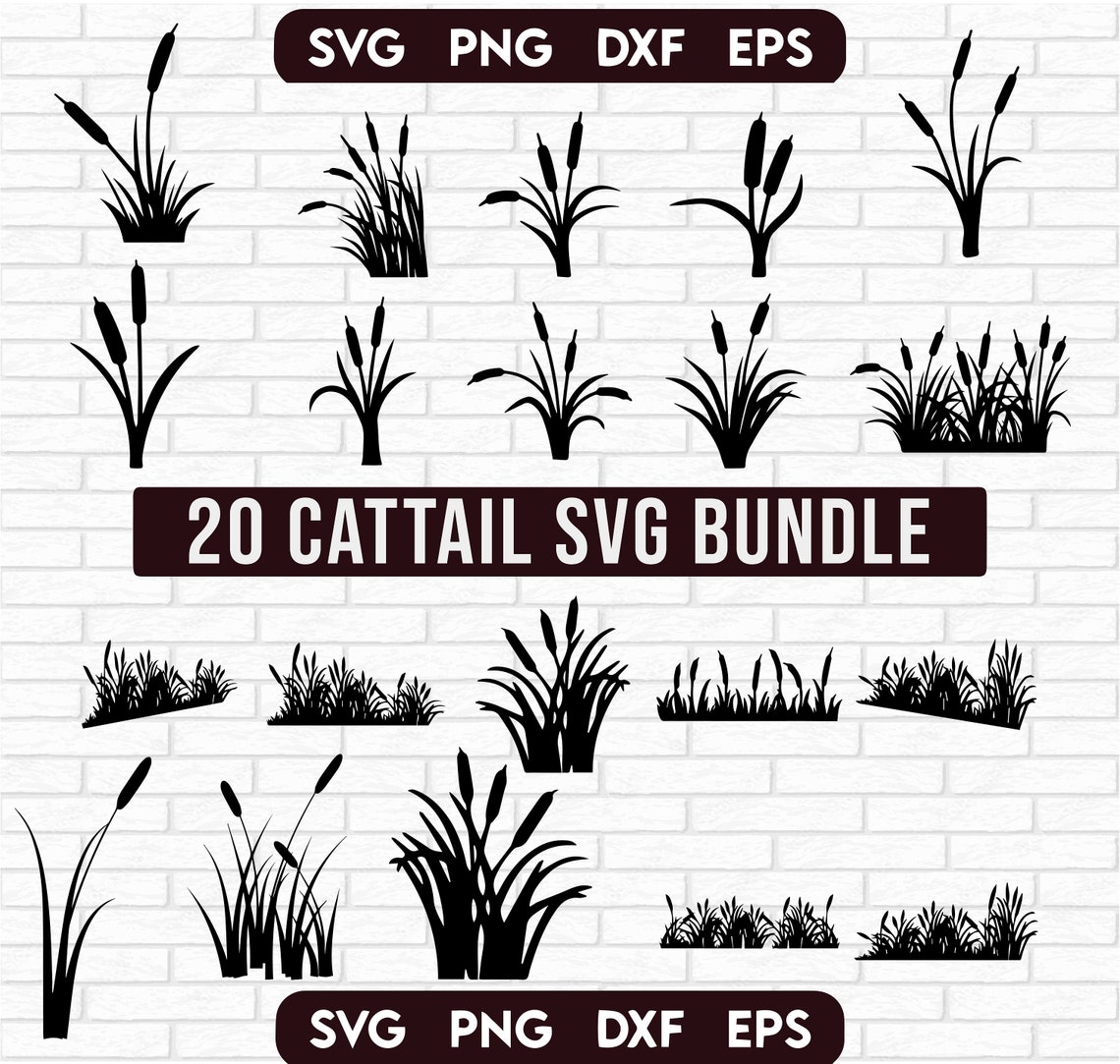 Cattail Svg,cattail Flower Svg,cattail Vector,cattail Bundle,grass Svg ...
