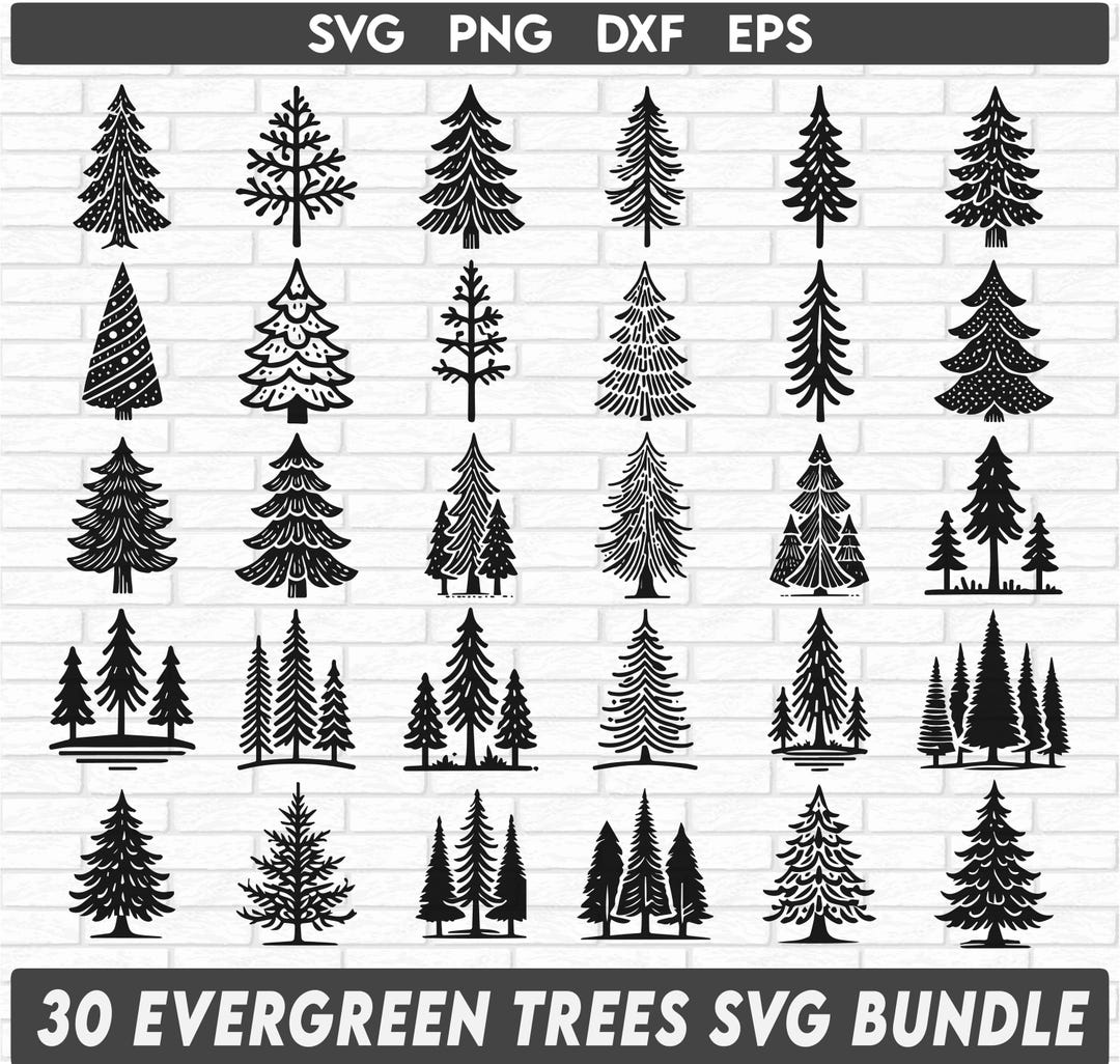 Evergreen Trees Bundle, Pine Tree Silhouette SVG Bundle Pack, Evergreen ...