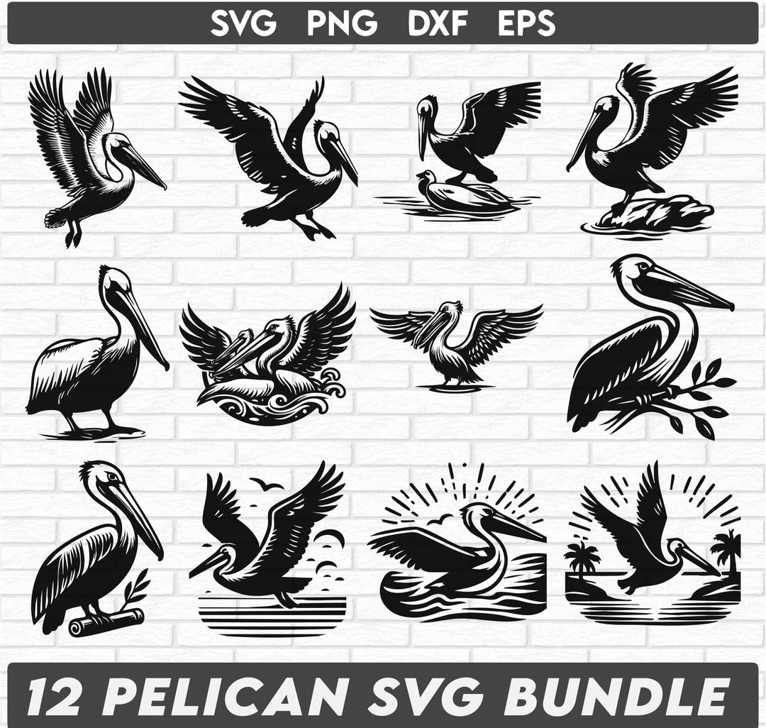 Pelican SVG Bundle, Pelican Dxf, Pelican Png, Pelican Vector, Pelican ...
