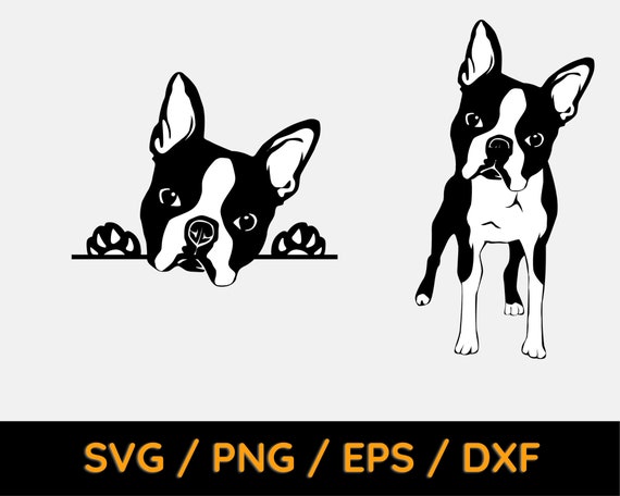 Boston Terrier Svg Boston Terrier Face Svg Boston Terrier - Etsy