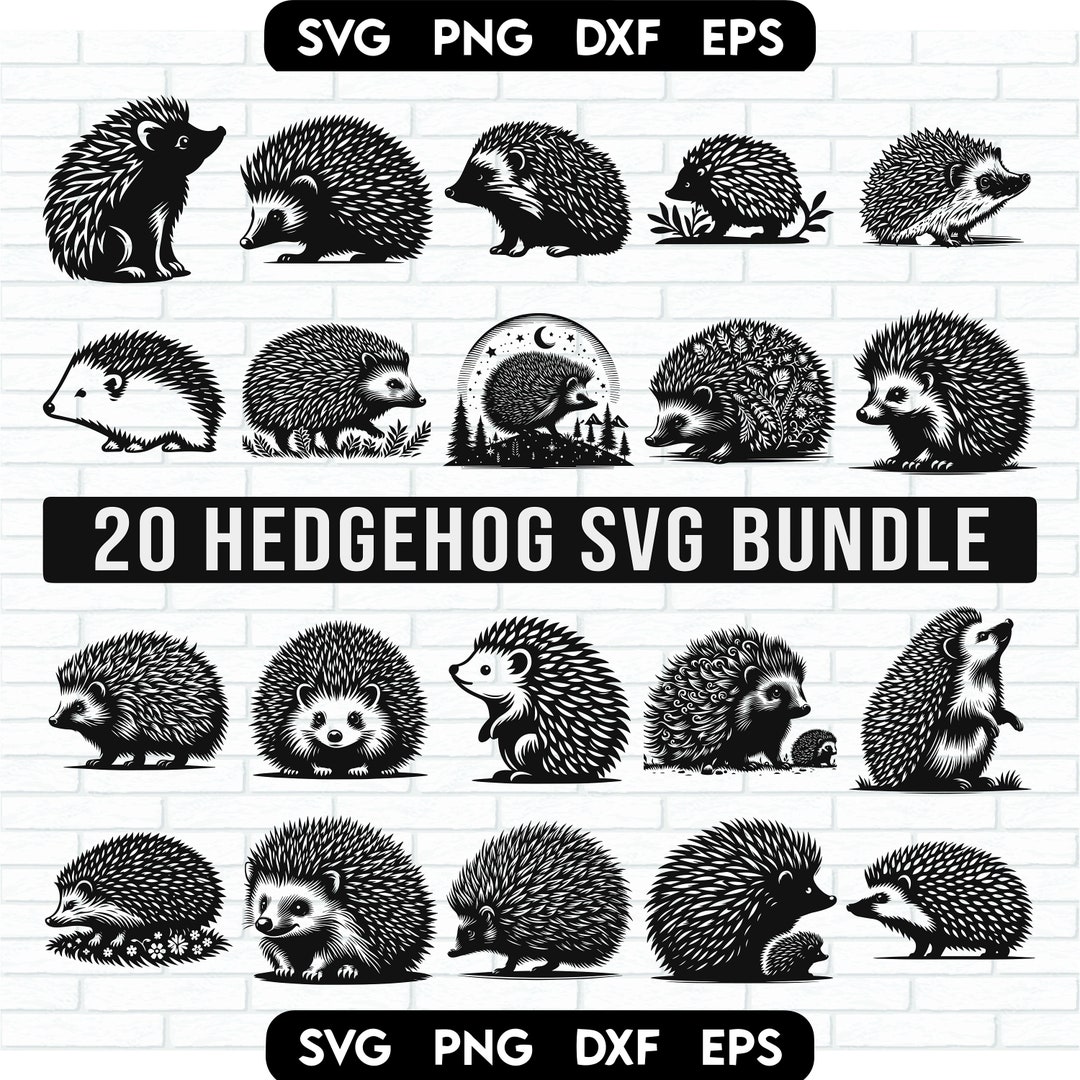 Hedgehog Svg Bundle, Hedgehog Svg, Hedgehog Png, Hedgehog Svg Png ...