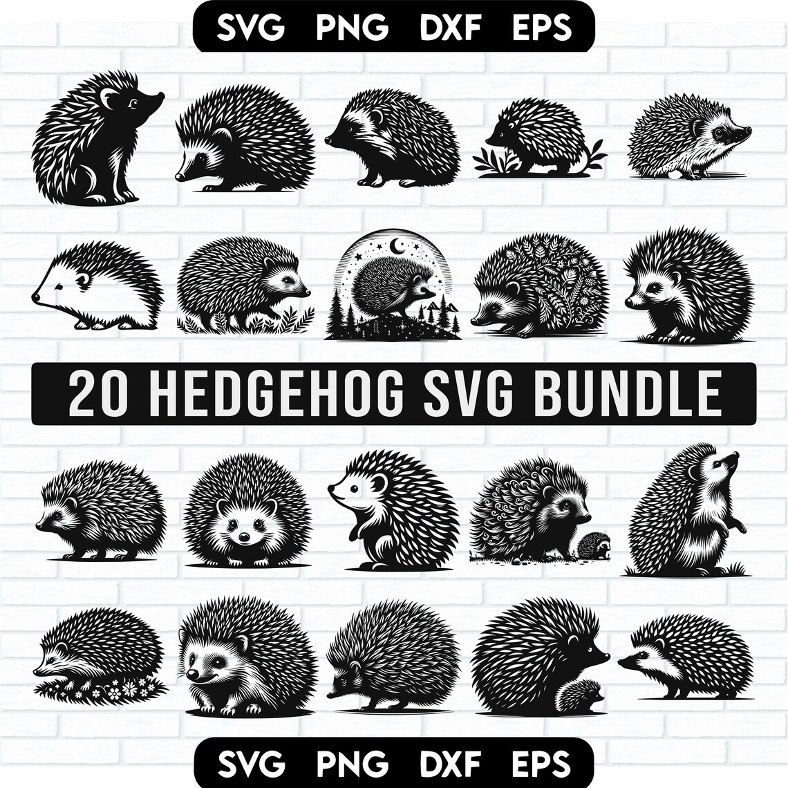 Igel-Svg-Bundle, Igel-Svg, Igel-Png, Igel-Svg-Png, Igel schneiden Datei ...
