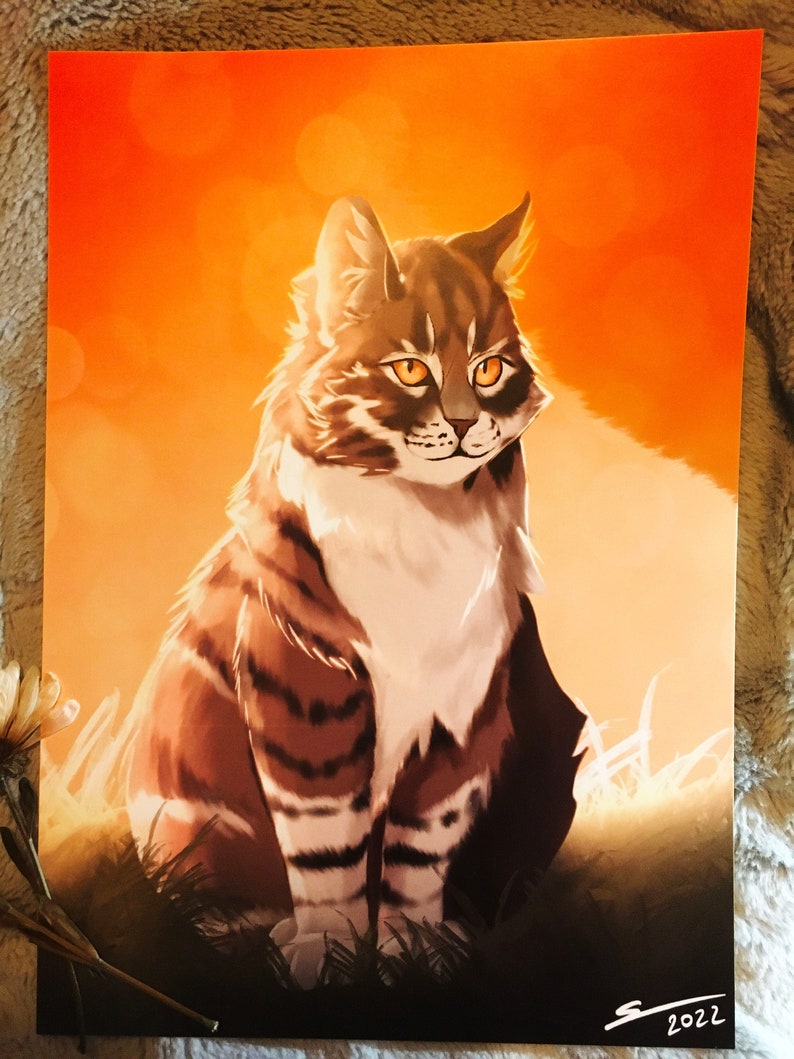 A4 Cat Portrait Print Original Style - Etsy
