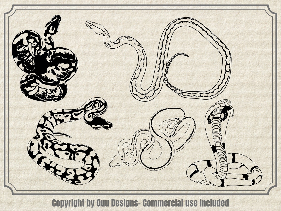 Snake SVG, Snake Stencils, Snake Skin, Snake Sticker, Snake Tattoo ...