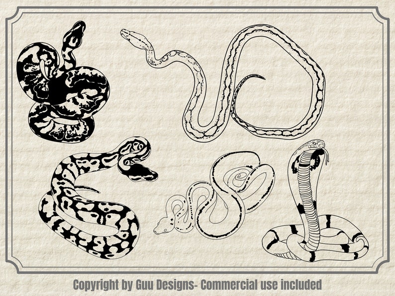 Snake SVG, Snake Stencils, Snake Skin, Snake Sticker, Snake Tattoo ...