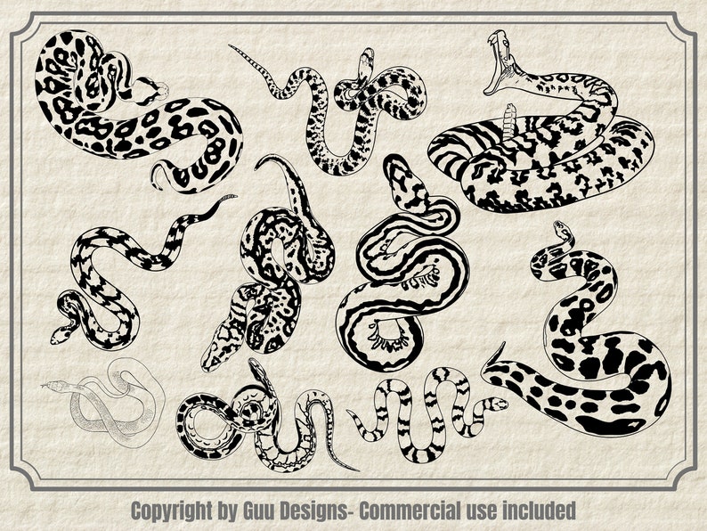 Snake SVG, Snake Stencils, Snake Skin, Snake Sticker, Snake Tattoo ...