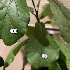 Plant Googly Eyes and Faces | Magnet Eyes and Mouth | Leaves | Plant ...