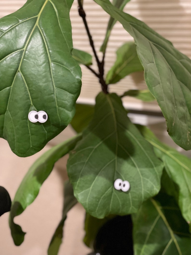 Plant Googly Eyes and Faces Magnet Eyes and Mouth Leaves - Etsy
