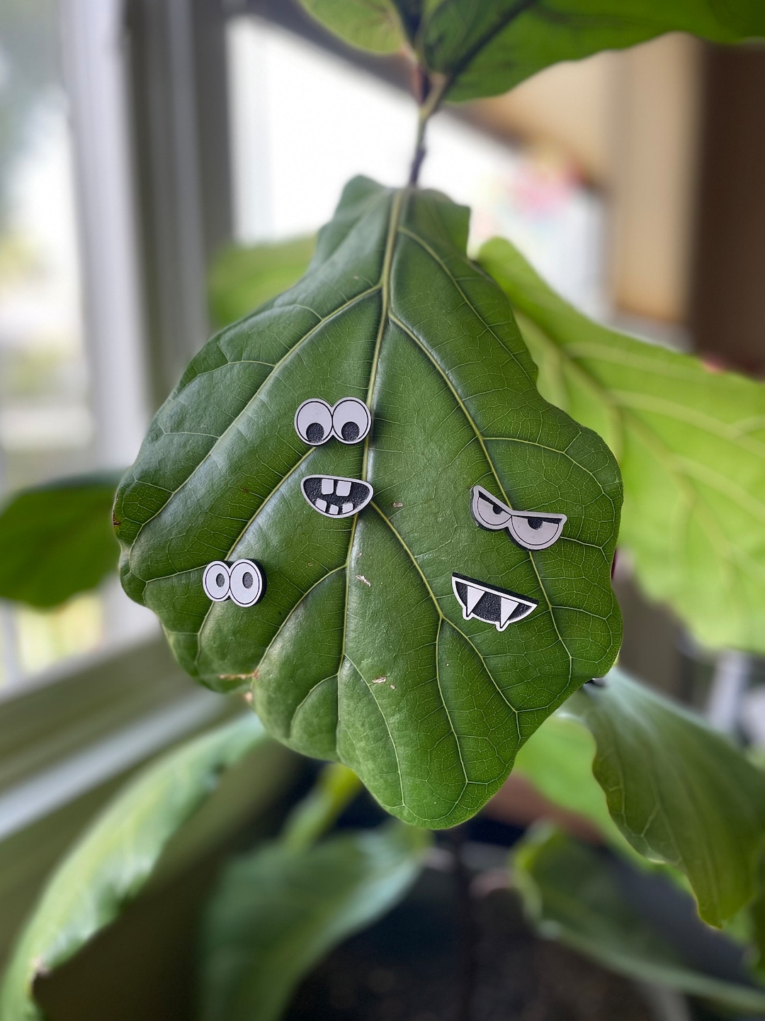 Plant Googly Eyes and Faces | Magnet Eyes and Mouth | Leaves | Plant ...