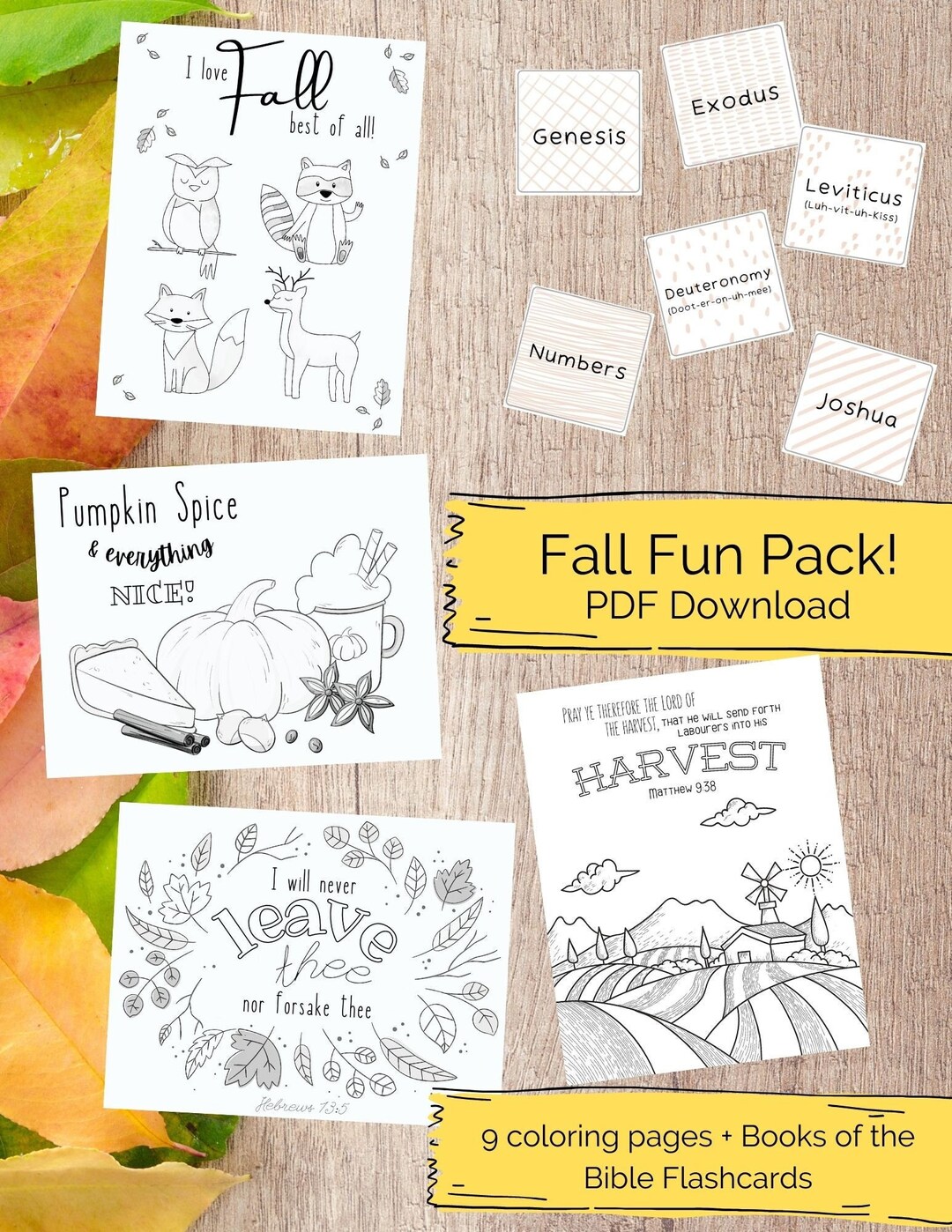 Fall Fun Coloring Pack + Flashcards - Etsy