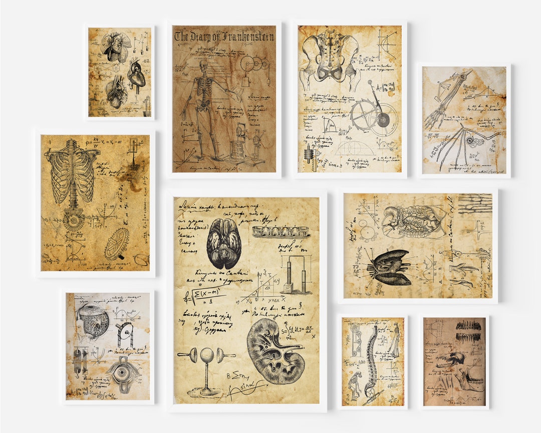 Set of 10 Halloween Printables | Vintage Human Anatomy | Halloween ...