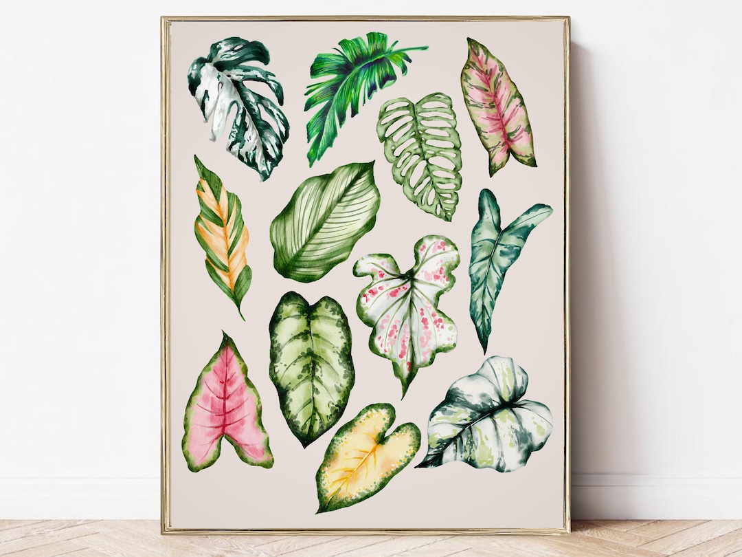 Printable Plant Lover Wall Art | Exotic Indoor Plants Wall Decor ...