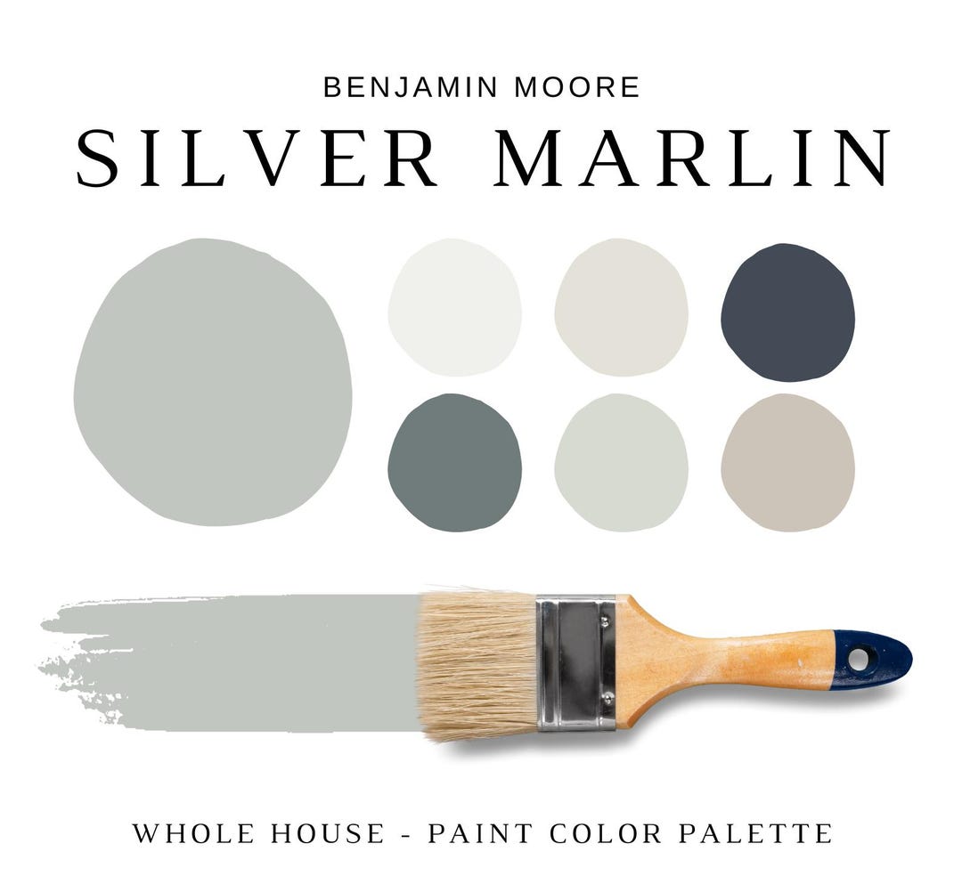 Benjamin Moore SILVER MARLIN Color Palette, Coastal Colors, BM Silver ...