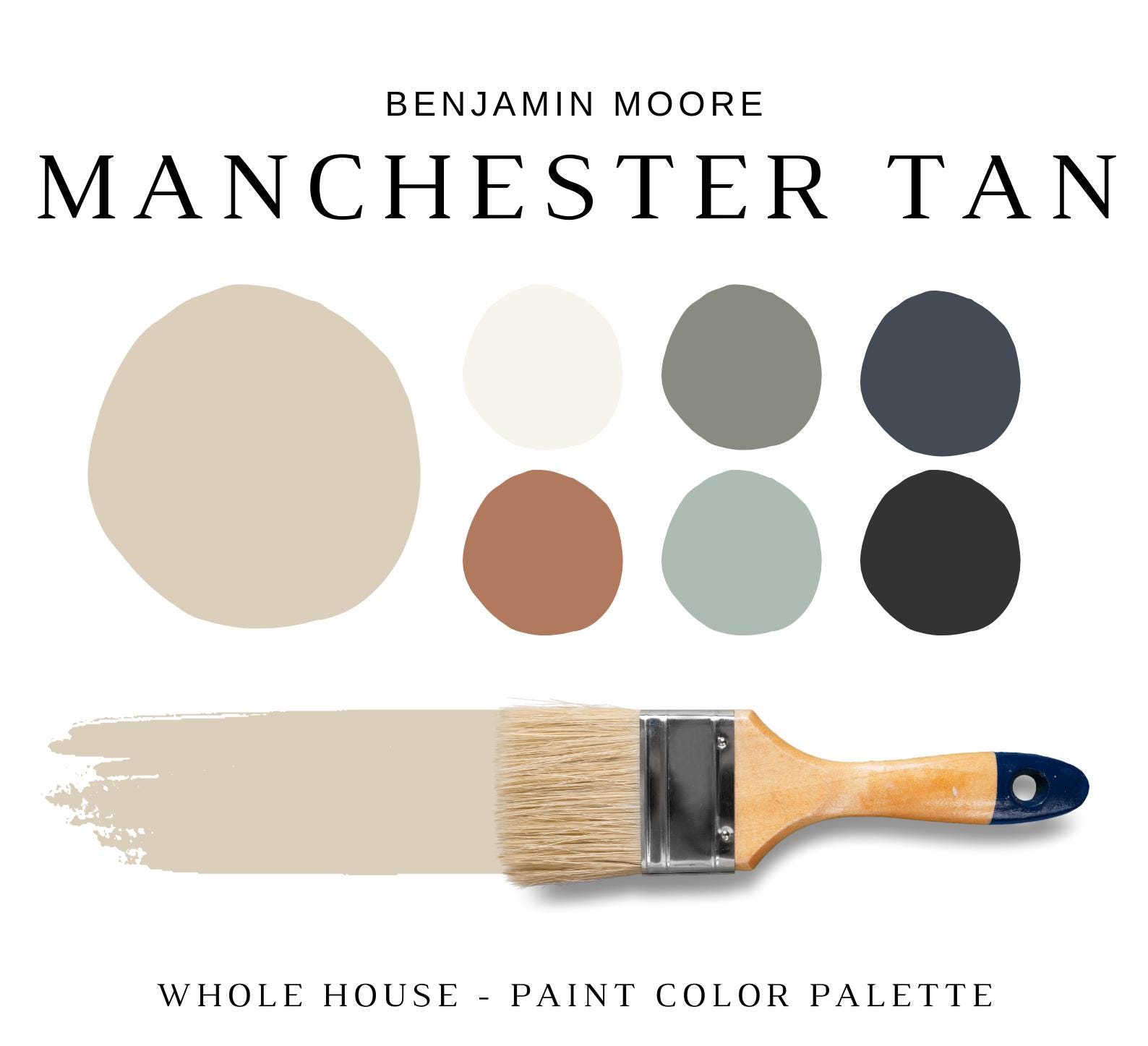 Benjamin Moore MANCHESTER TAN Color Palettes, Benjamin Moore Warm ...