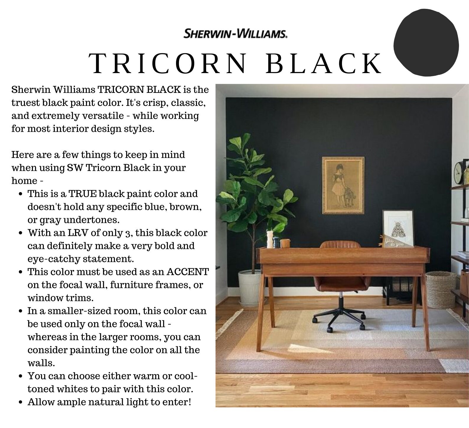 Sherwin Williams PEPPERCORN Color Palette Best Selling Gray - Etsy